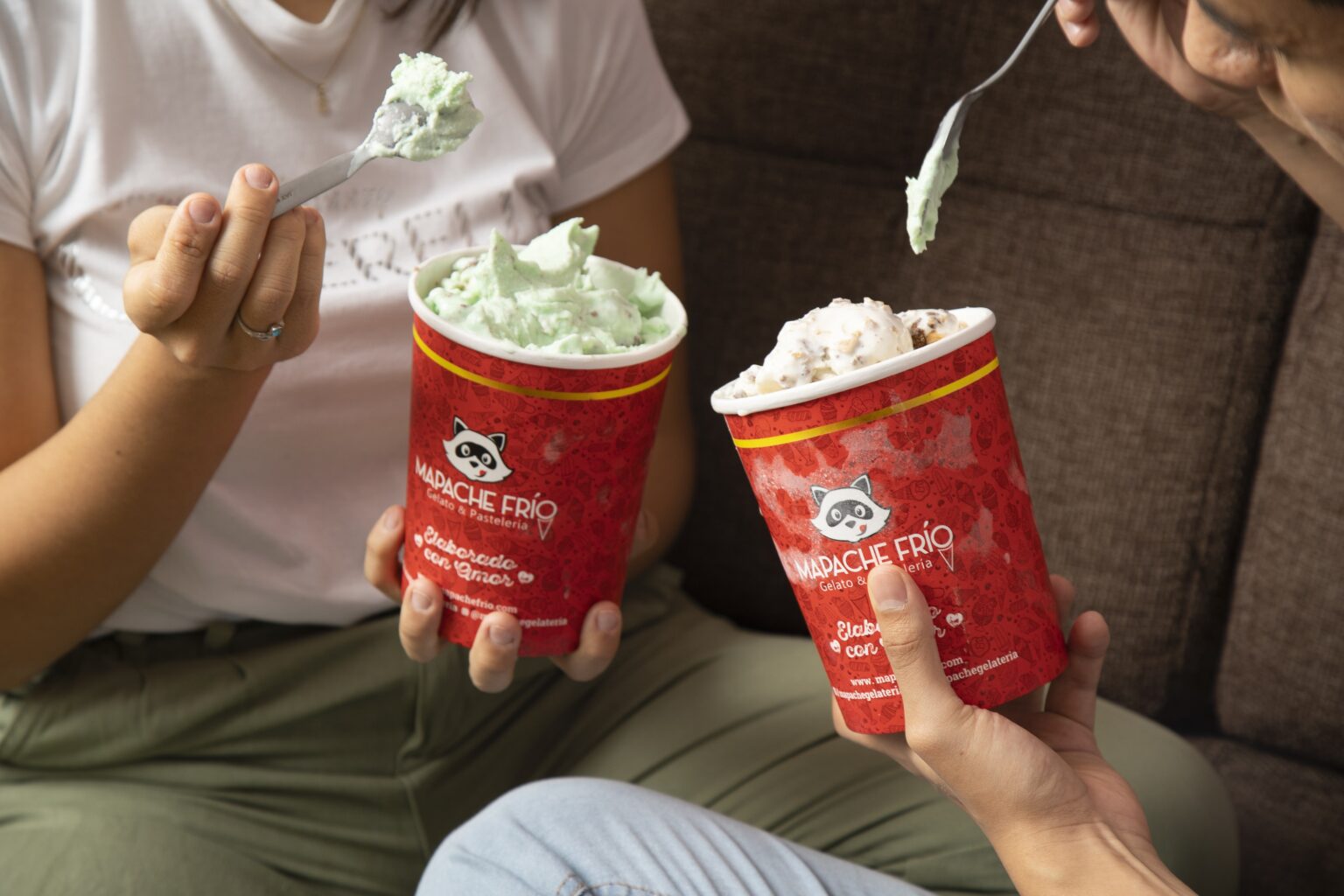 Helado Artesanal - Mapache Frío